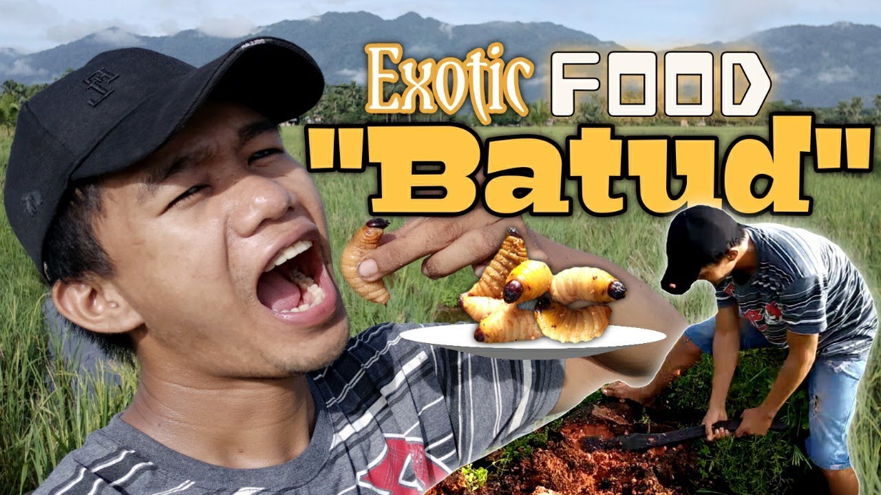 Exotic "BATUD" for foods #BATUD #EXOTIC #EXOTICFOOD - YouTube