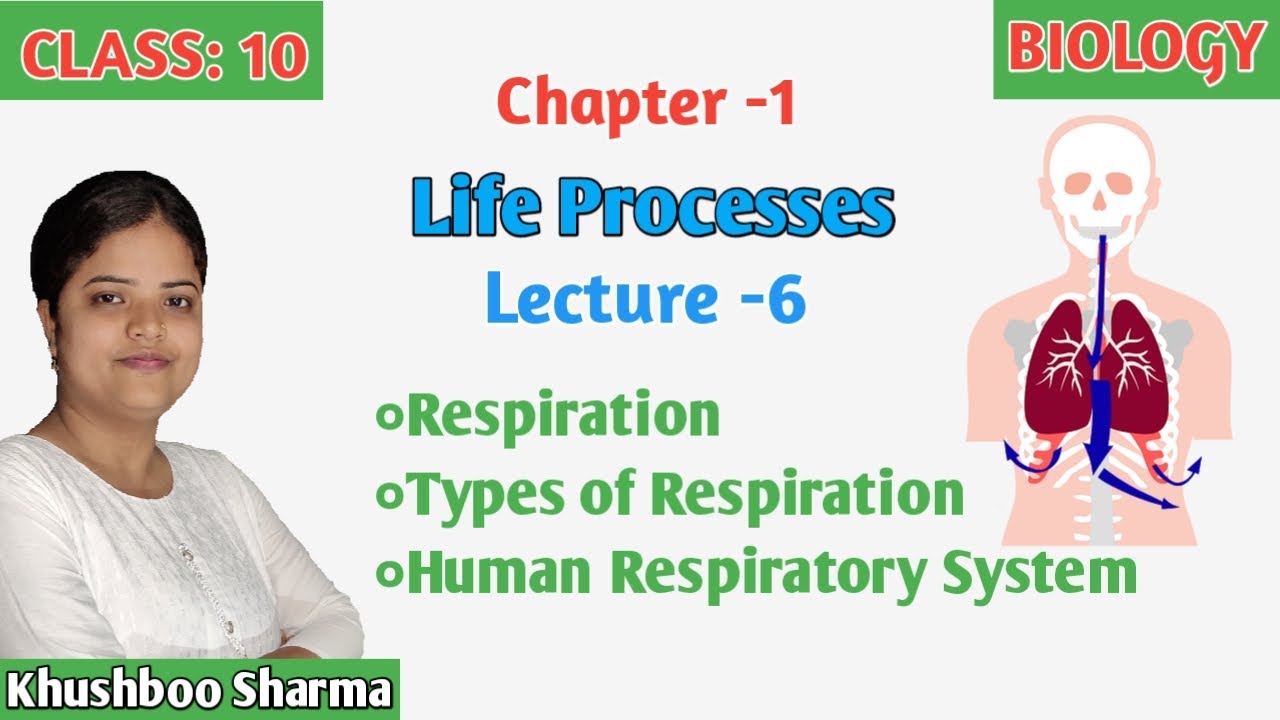 10th | Biology |Ch-1 | L-6| Life Processes| Respiration And Its Types ...