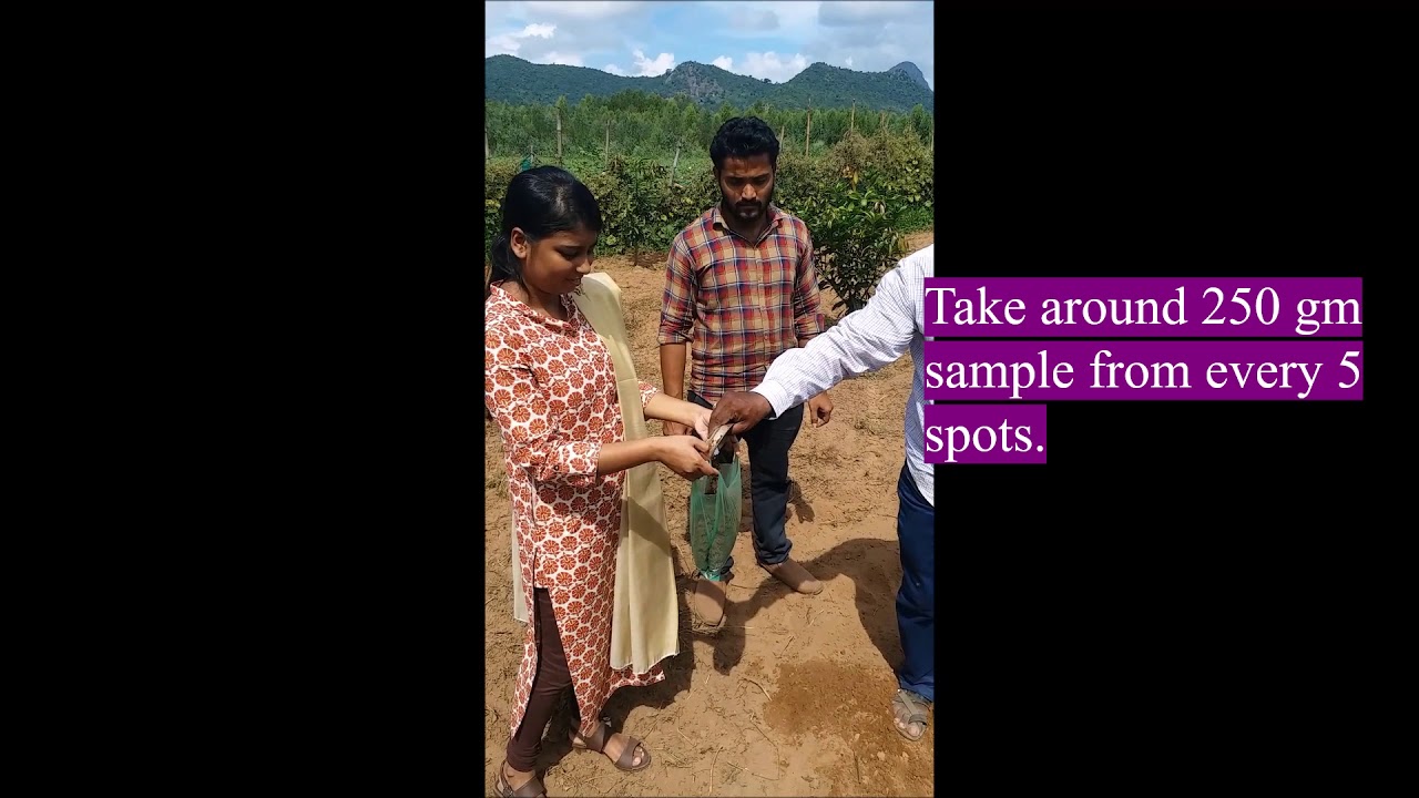 Soil sample collection procedure - YouTube