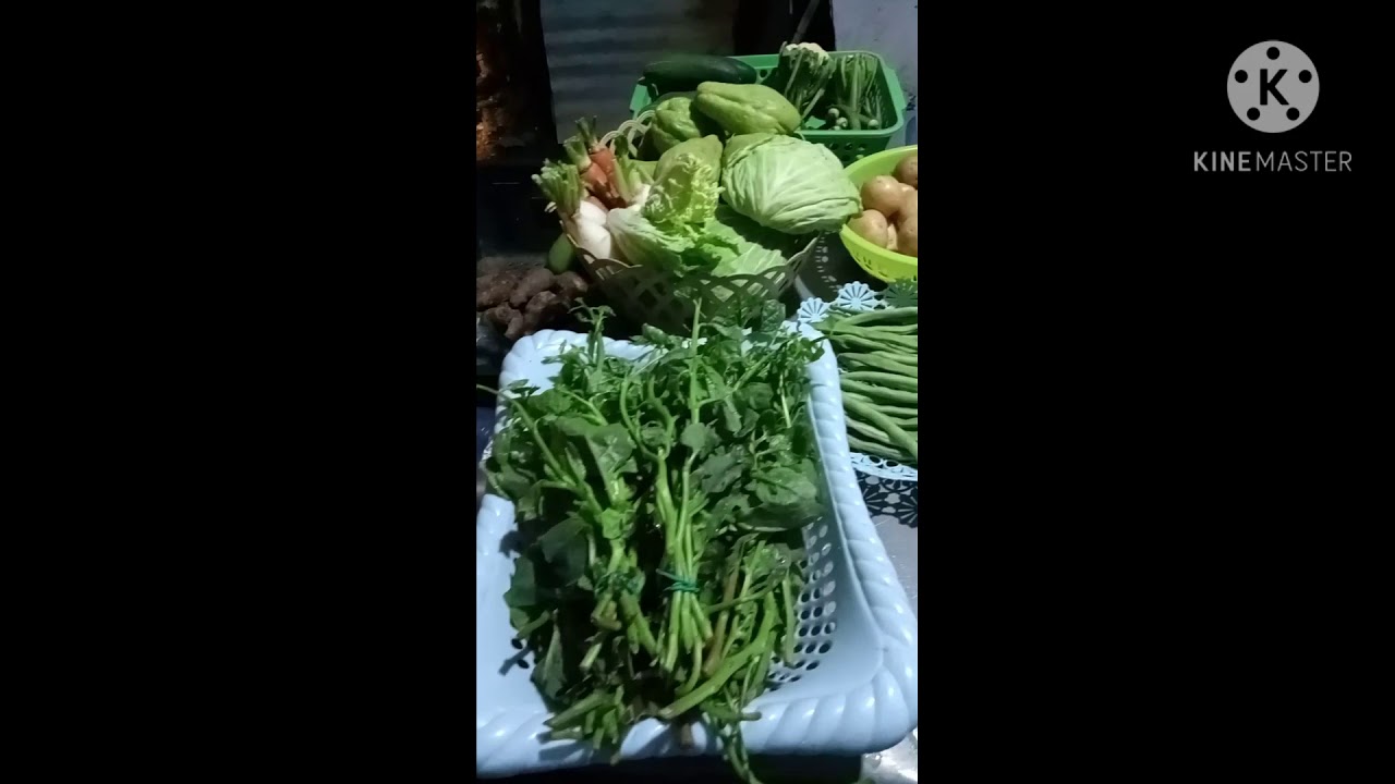 Fresh Gulay 🥦🥒🥬 - YouTube