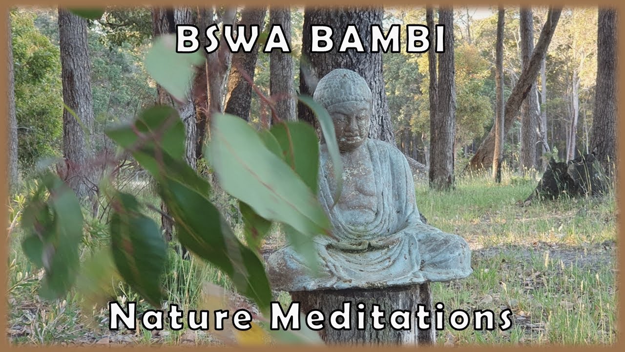BSWA BAMBI Nature Meditations - YouTube