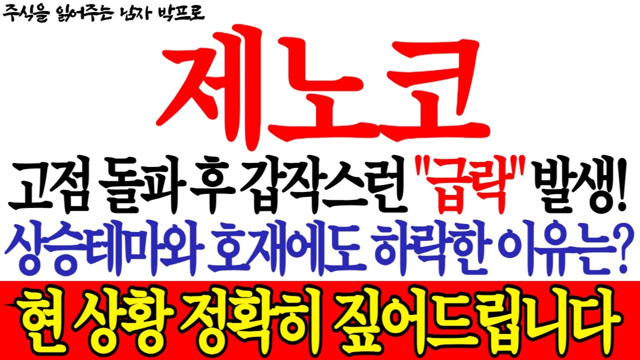 제노코 주가전망 고점 돌파 후 갑작스런 급락 발생 상승테마와 호재에도 하락한 이유는 현 상황 정확히 짚어드립니다