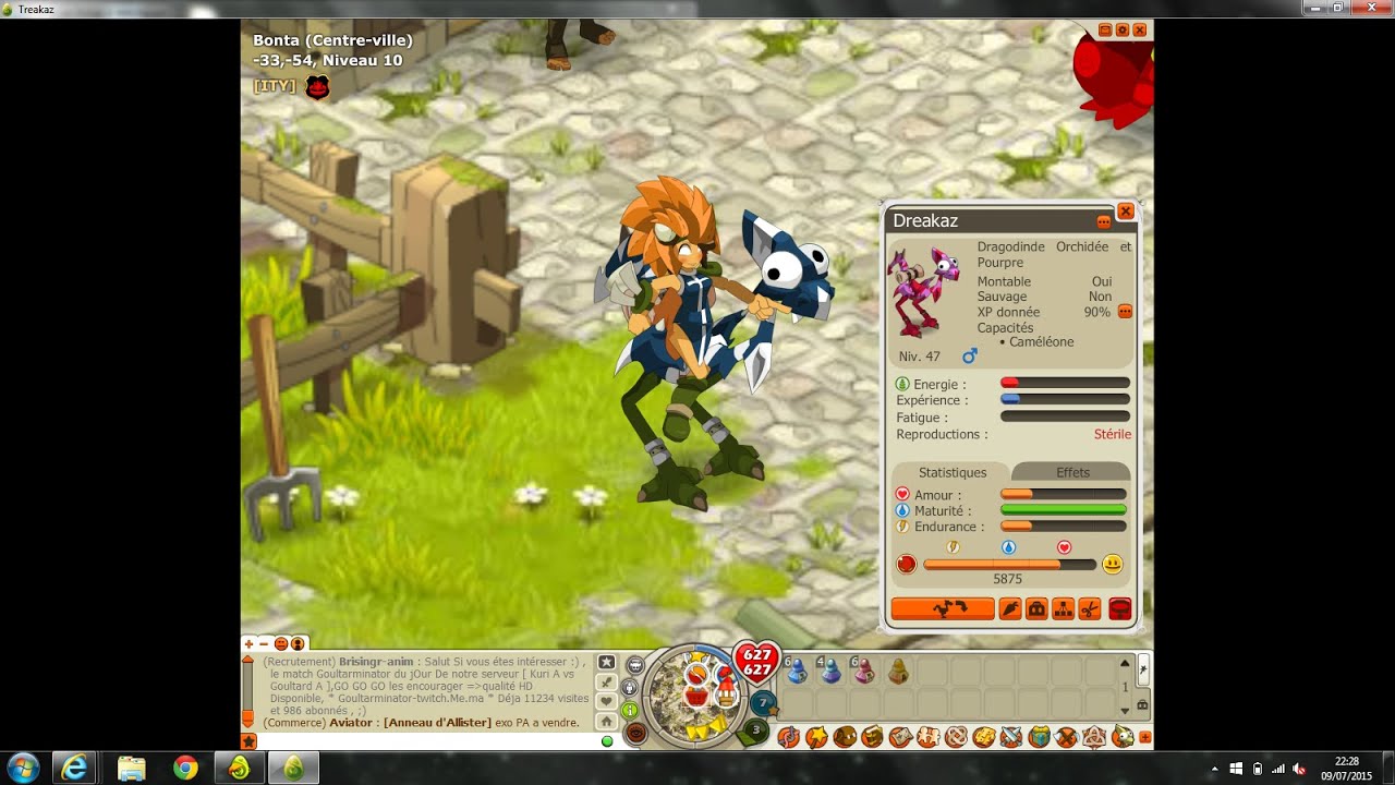 DOFUS|XP|DRAGODINDE|LVL|1|A|100 - YouTube