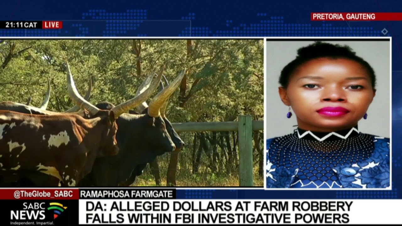 Phala Phala Farm | Possibilities of DA FBI move succeeding: Ottilia ...