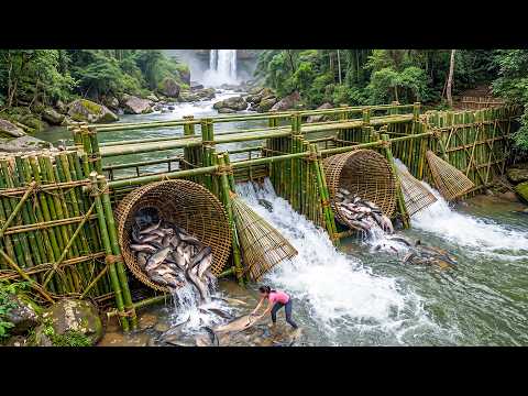 Beautiful Girl Harvests Tons of Wild Fish from the Da River and Transports Them to Market to Sell