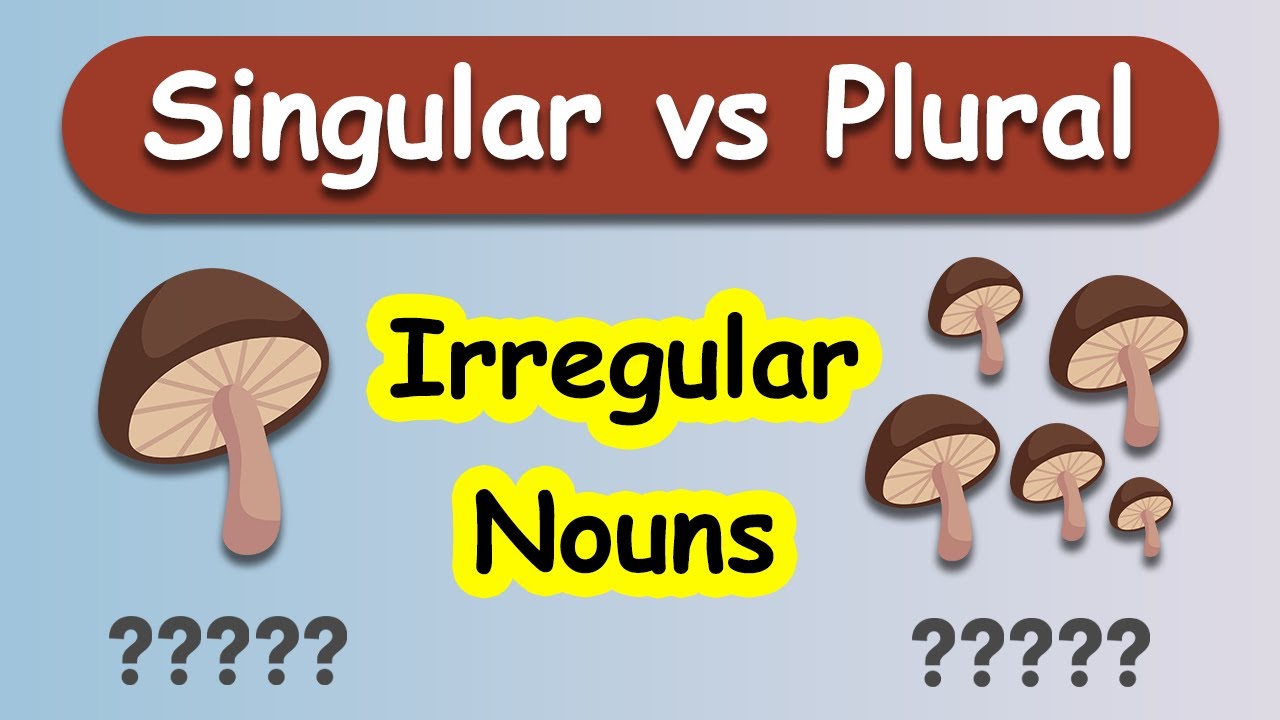Mystery of Irregular Nouns: Singular vs. Plural | Easy English Learning ...