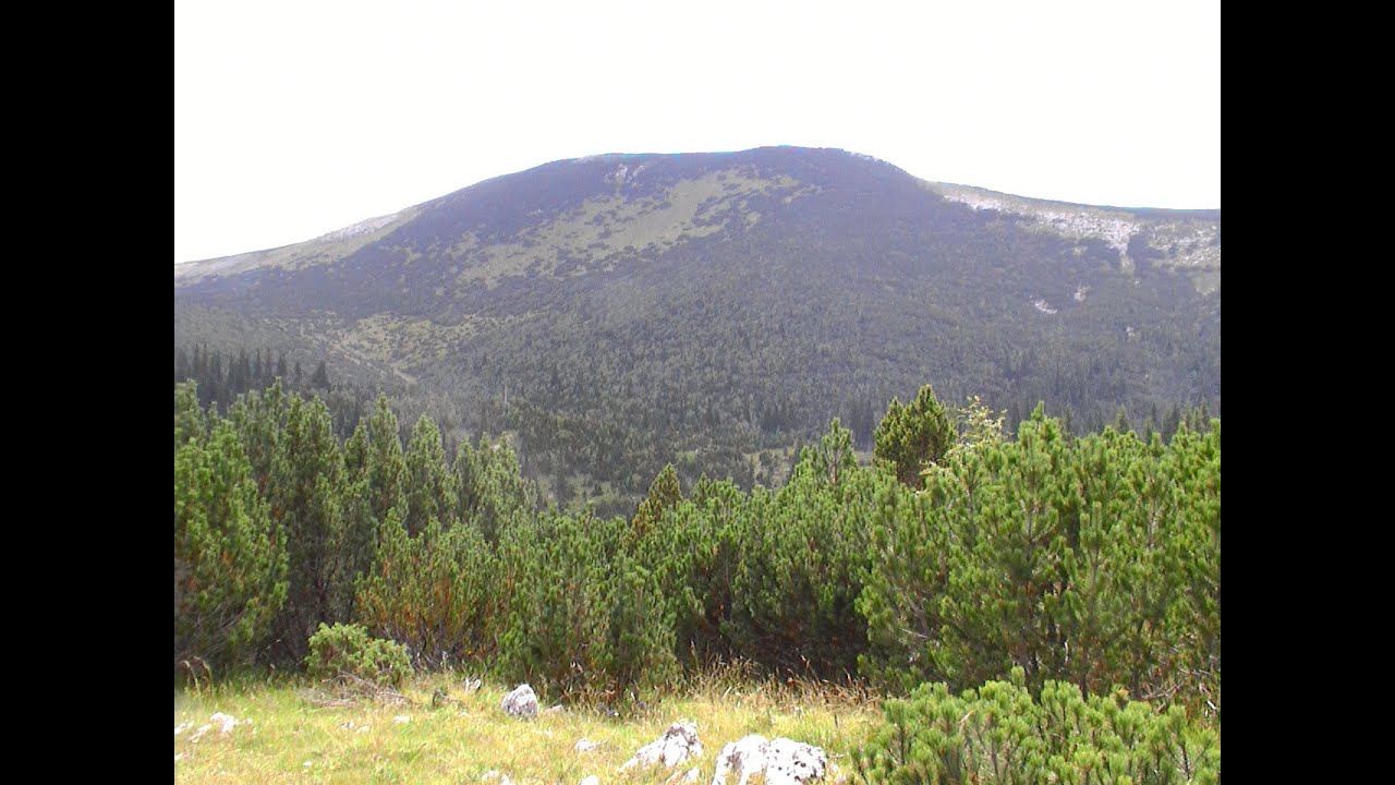 ljubisnja 2014 - YouTube