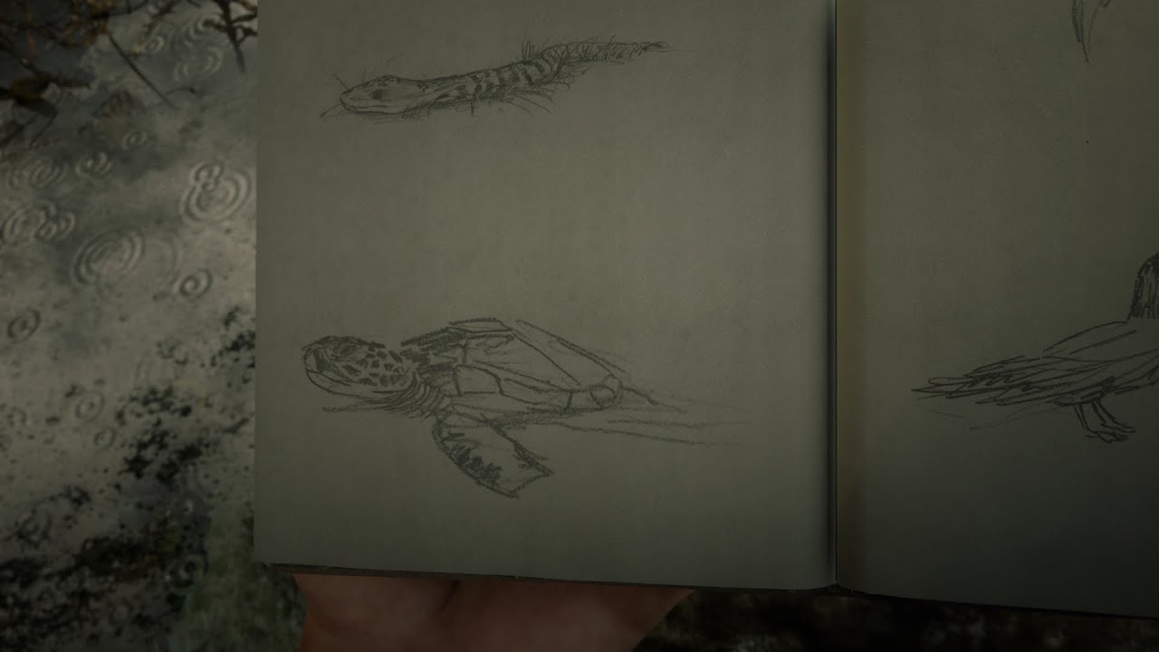 How To Get The Guarma Green Turtle Journal Entry - YouTube