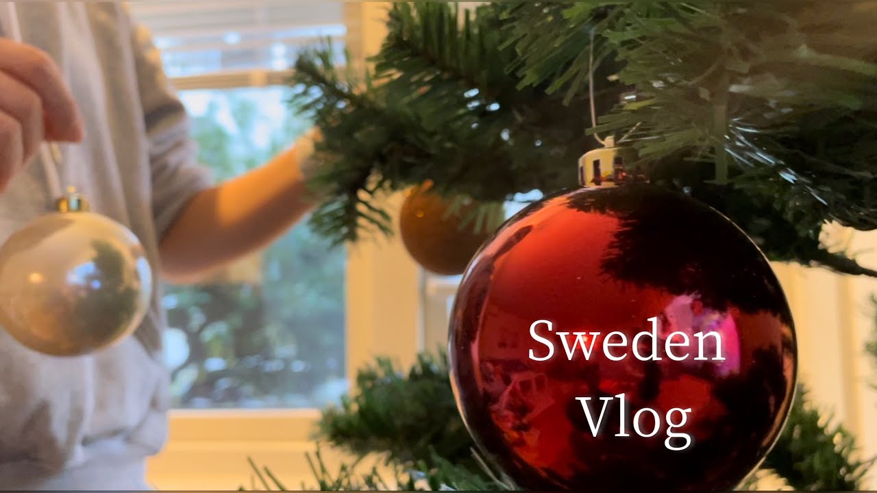 SWEDEN VLOG | Swedish study 📚 / Korean dumplings mandu🥟 / decorating home Christmas 🎄 - YouTube