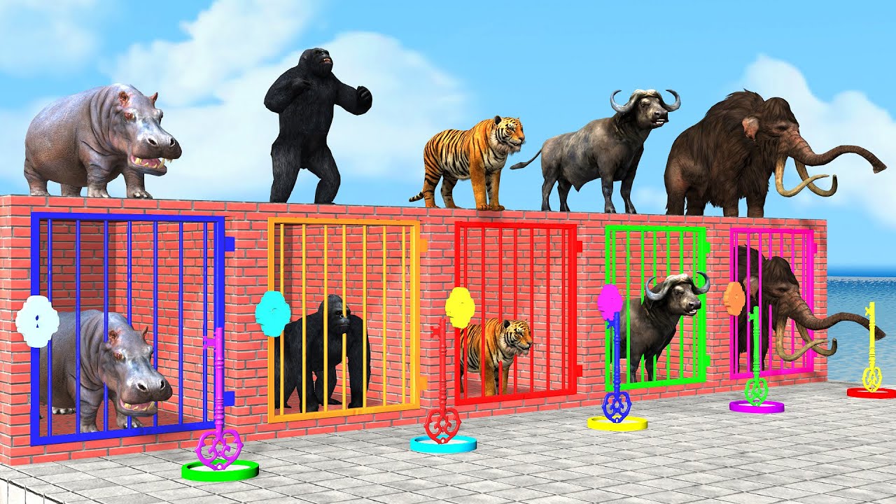 Cow Mammoth Elephant Tiger Gorilla Guess The Right Key ESCAPE ROOM ...