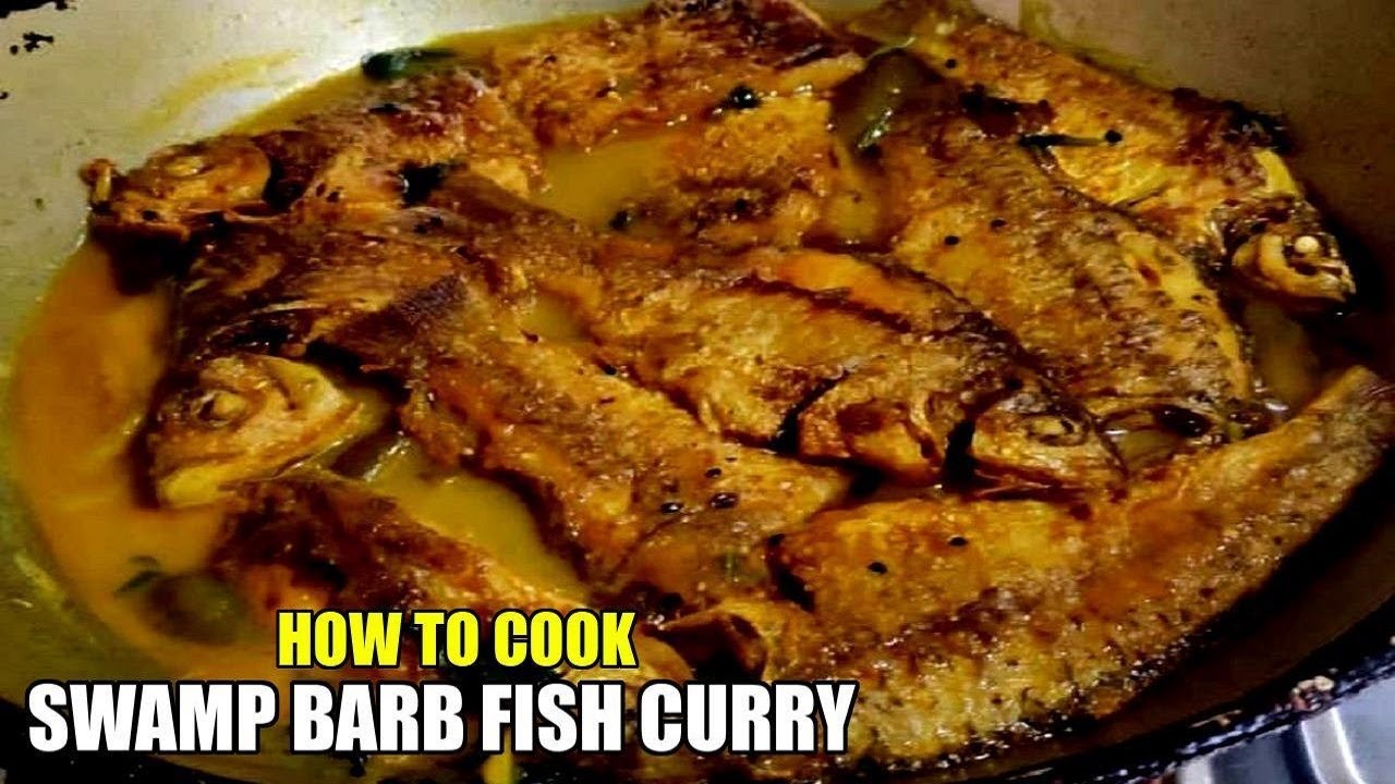 How to Cook Swamp Barb Fish Curry | Machli Curry Recipe | Punti Macher ...