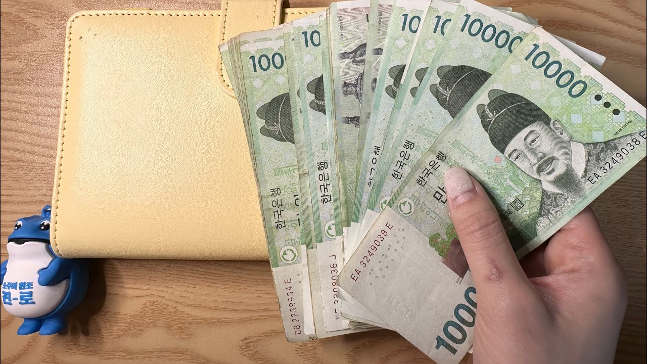 Help, I can’t actually keep a budget, $266 / ₩350K cash stuffing | low ...