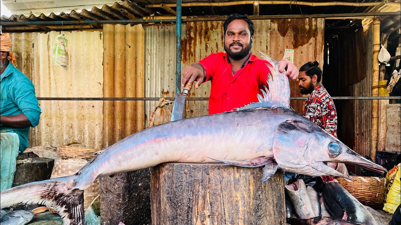 30 kg kola fish cutting kasimedu hero Kumar fast fish cutting skills🔪🔥 ...