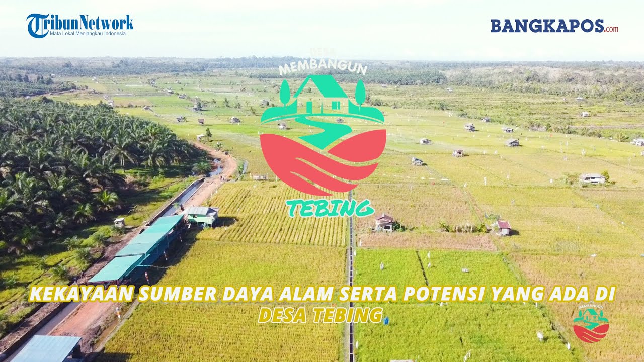 KEKAYAAN SUMBER DAYA ALAM SERTA POTENSI YANG ADA DI DESA TEBING - YouTube