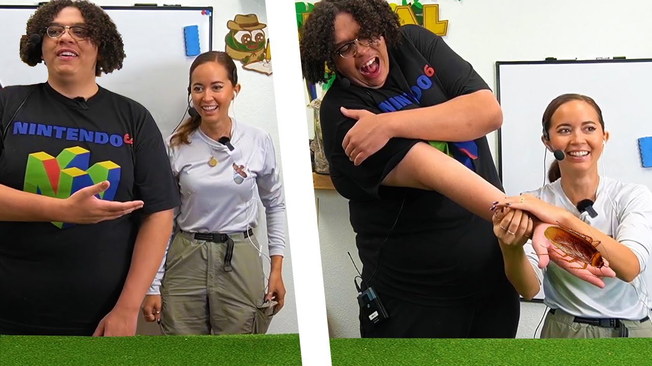 Zoil's Disaster Alveus Stream With Maya - YouTube