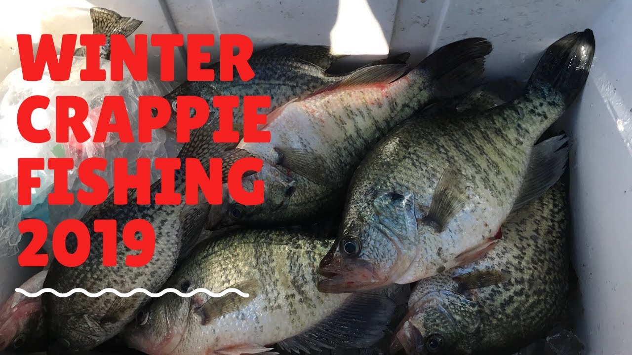 WINTERTIME CRAPPIE FISHING (LAKE FORK) Catching crappie in deep open ...