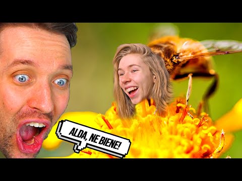 ich bin eine BIENE! - YouTube