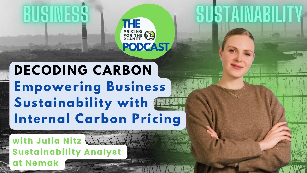 Decoding Carbon: Empowering Business Sustainability with Internal ...