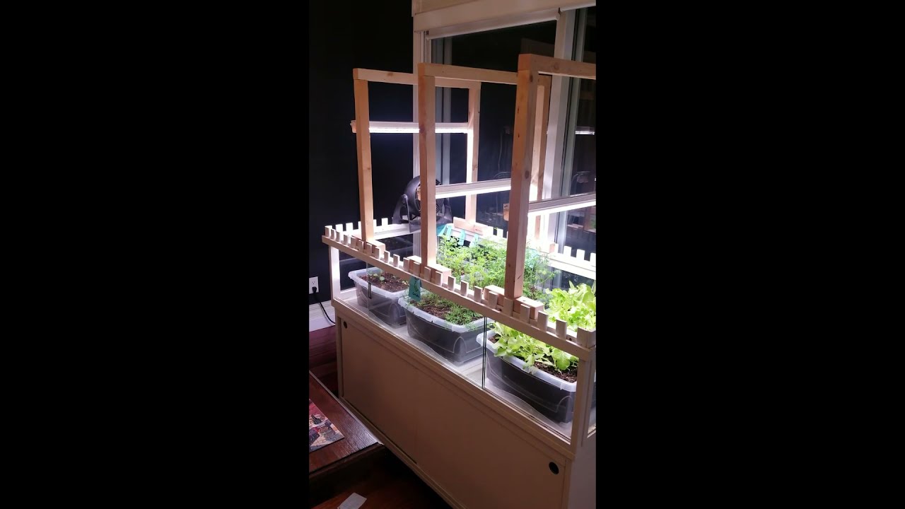 How to grow food INDOORS | Indoor Vegetable Garden | Growing Food ...