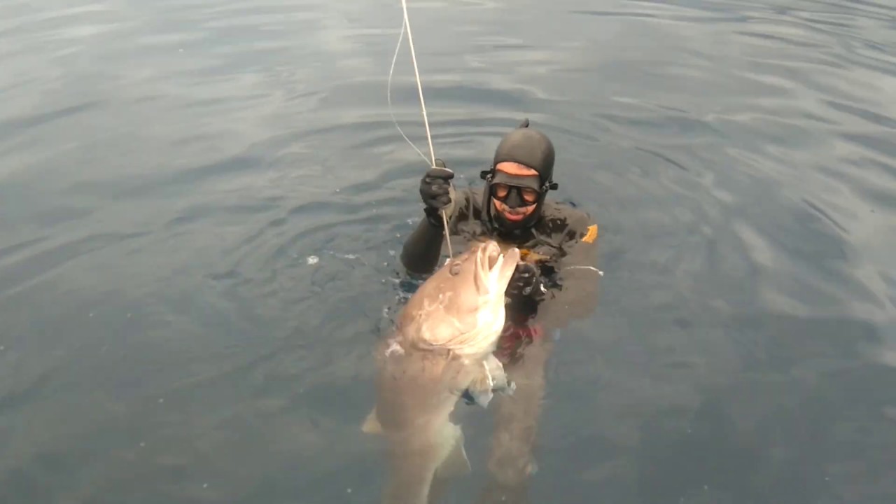 Gourouna 16,8 kg - YouTube