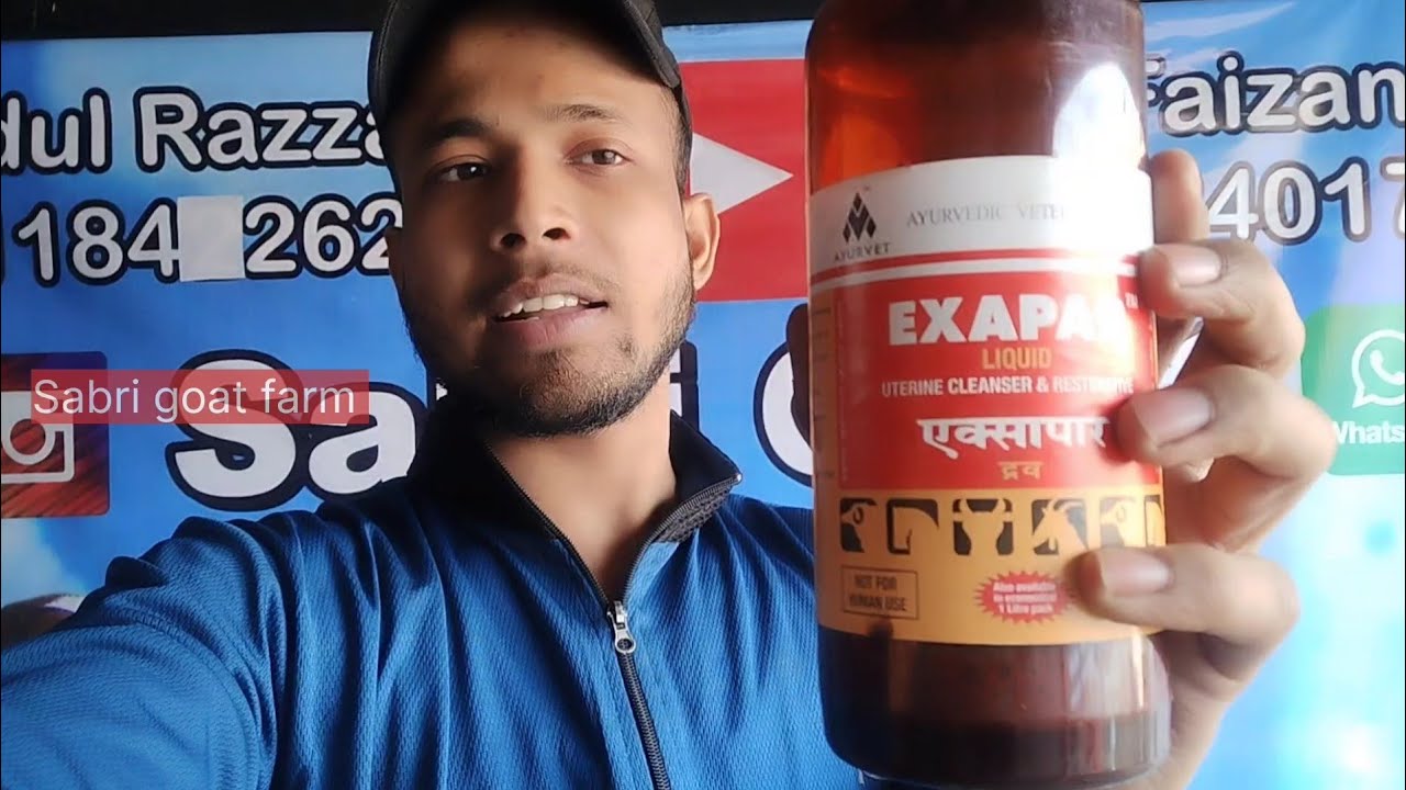 बकरी की डिलीवरी के बाद exapar केसे इस्तमाल करे| by faizan| SABRI GOAT ...