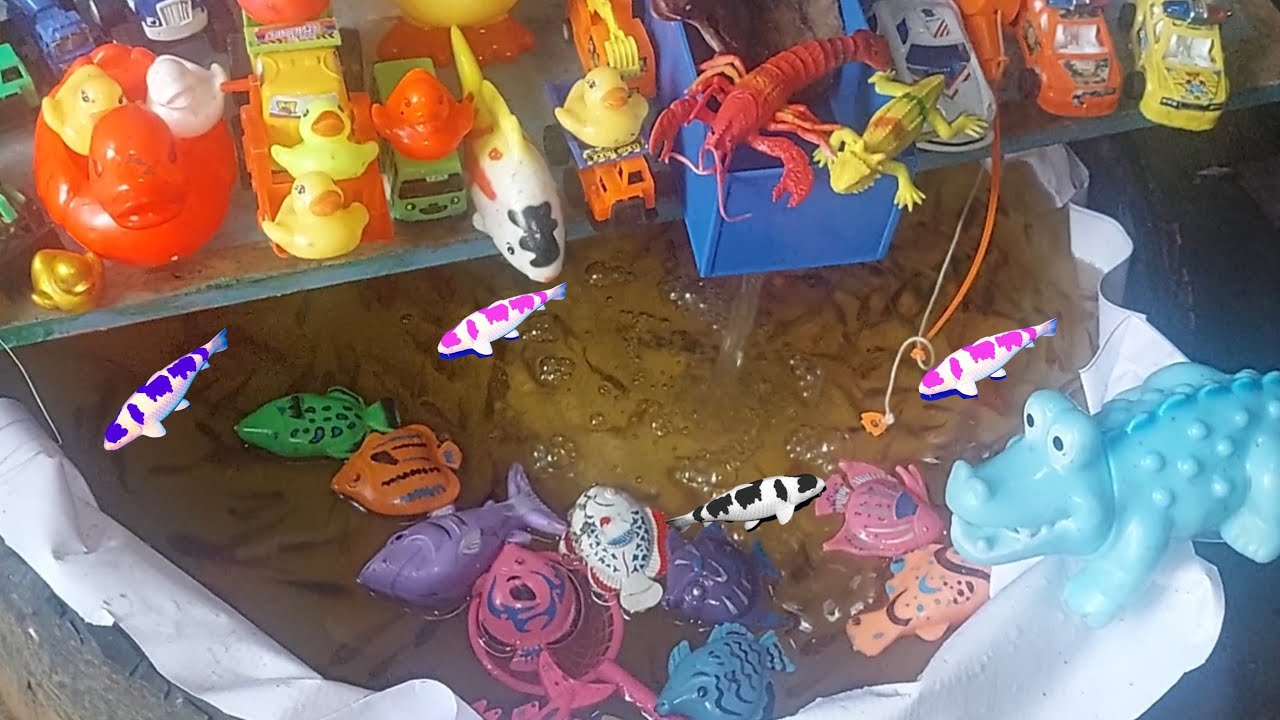 Fishing toy fish, catch fish, find fish, catfish, koi fish, ornamental ...