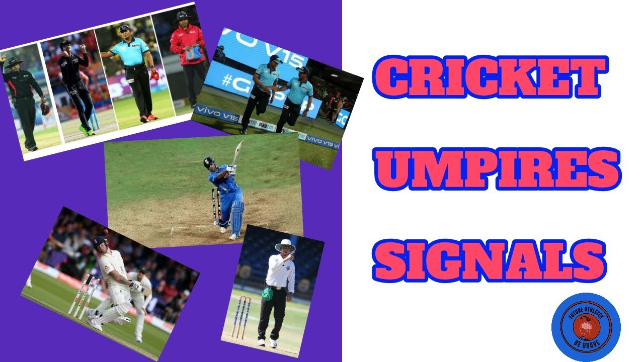 CRICKET UMPIRES SIGNALS....& SIMPLE QUESTIONS ABOUT CRICKET. - YouTube