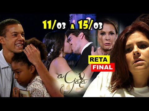 A Gata: 11/03 a 15/03/2024 - Resumo Semanal de 11 a 15 março - YouTube