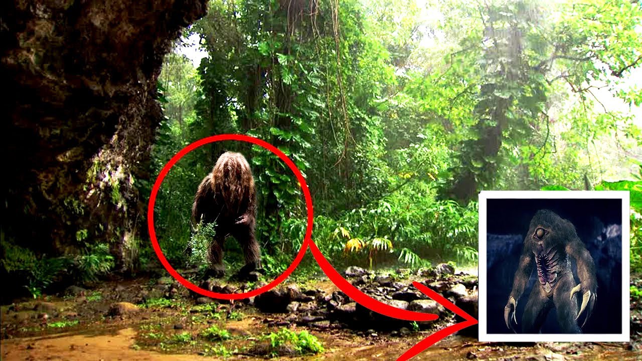 What Scientists Discovered in The Amazon Forest Scares The Entire World ...