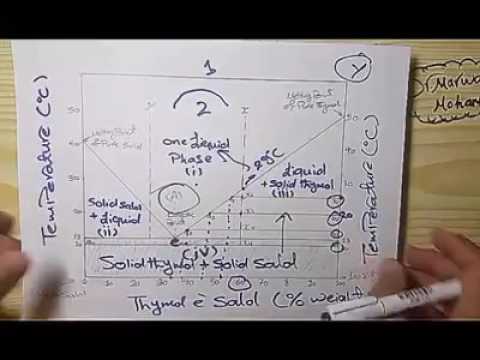 Salol-thymol system & Ternary System By: Marwan Mohammed - YouTube