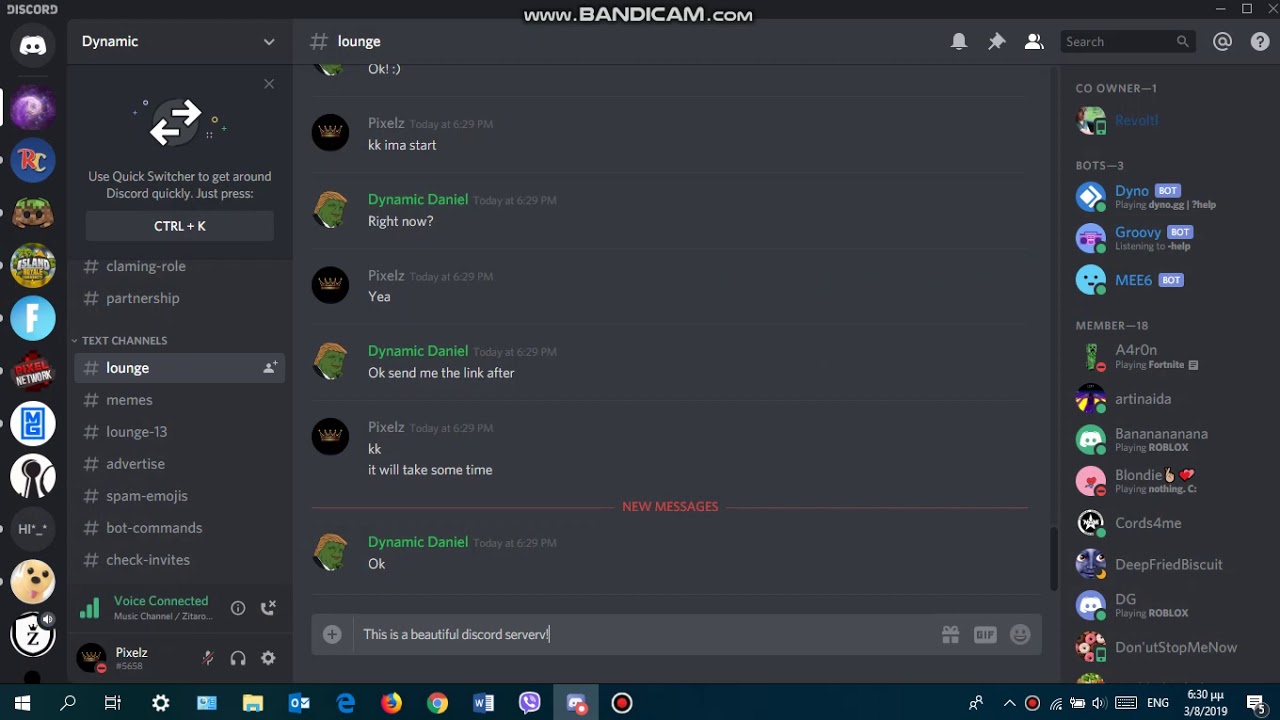 A Beautiful Discord Server! [Dynamic] - YouTube