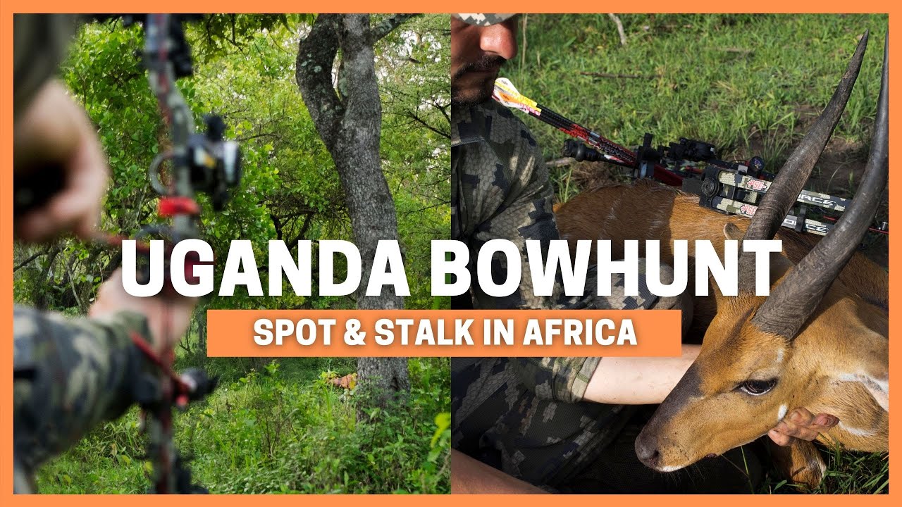 BOWHUNTING UGANDA ANTILOPES 🔥 AFRICA SPOT AND STALK 🔥 BUSHBUCK BOW HUNT ...