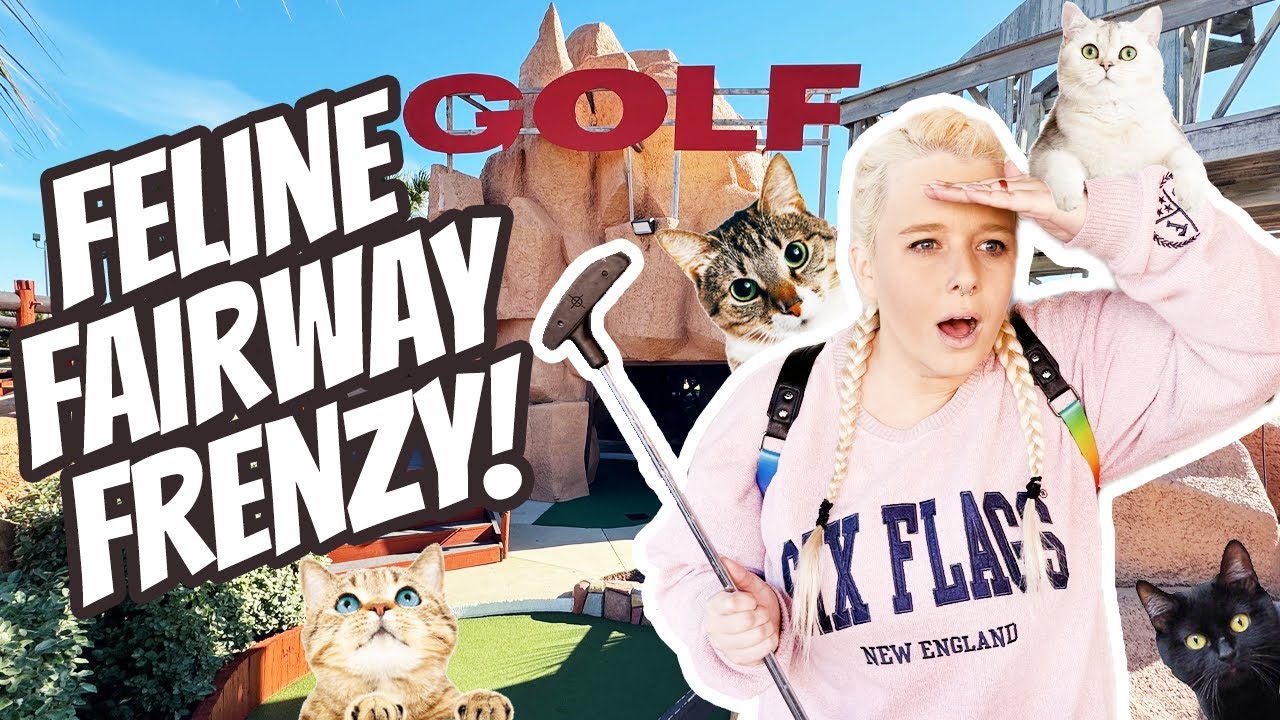 A Purrfect Day at Bonanza Golf: Combining Mini Golf and Cat Spotting ...
