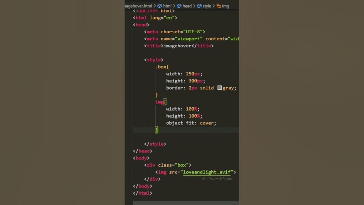 Image Hover Effect Html Css And Javascript Webdevwithrajeev Coding Youtube