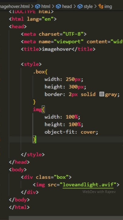 Image Hover Effect | HTML CSS and JavaScript | #webdevwithrajeev #coding - YouTube