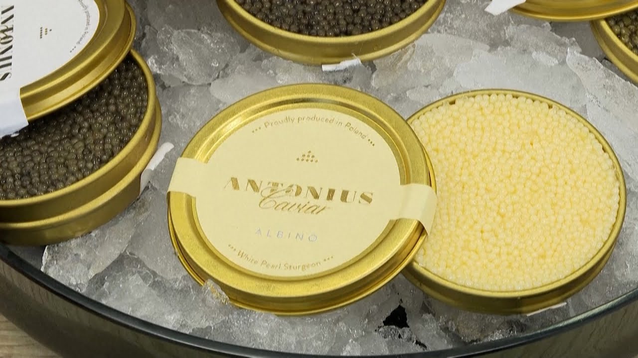 Polish fish farms fight 'myth of Russian caviar' - YouTube