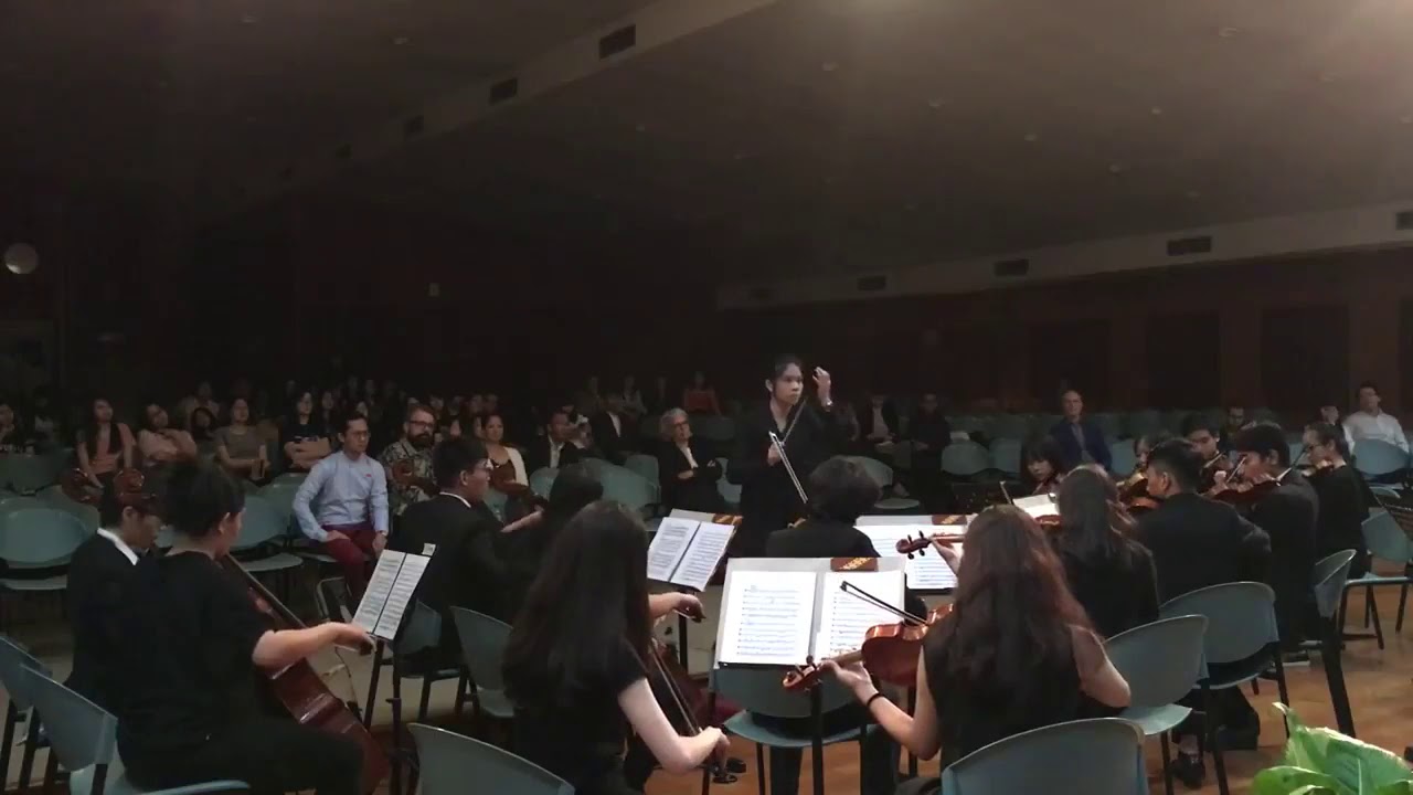 Charista Sarah UNITED KINGDOM Conducting Orchestra - YouTube