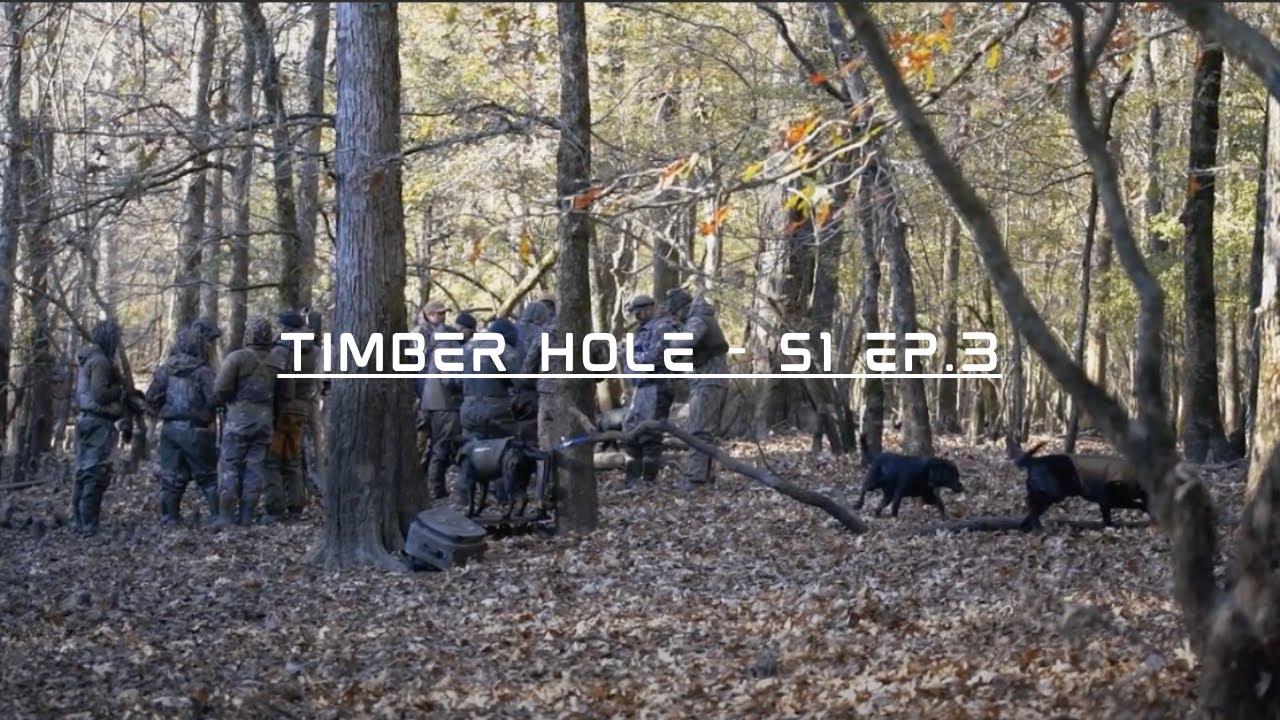 Arkansas Duck Hunt “Timber Hole” The Search For Water Continues S1 Ep ...