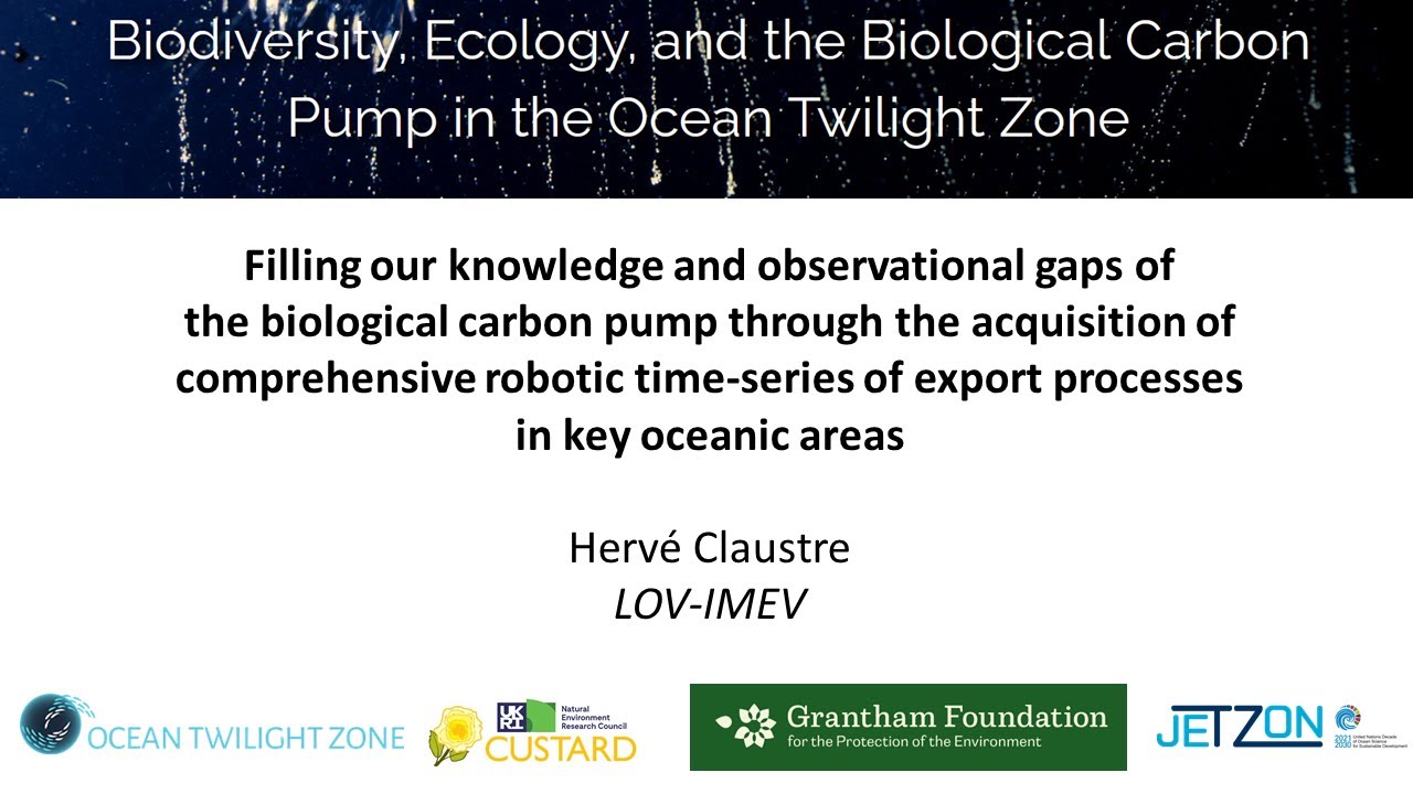 Filling knowledge gaps through robotic time-series of processes in key oceanic areas - Claustre ...