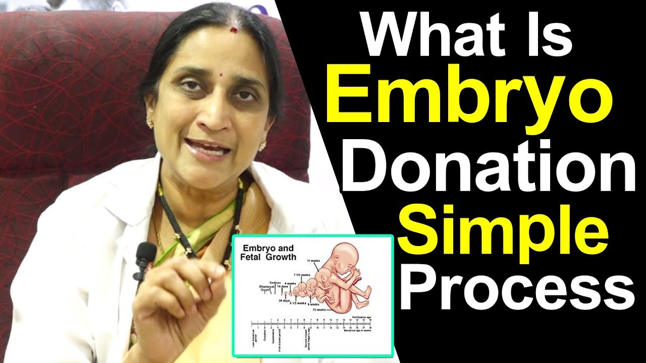 What is Embryo Donation Simple Process | Dr.Namratha Health Tips ...