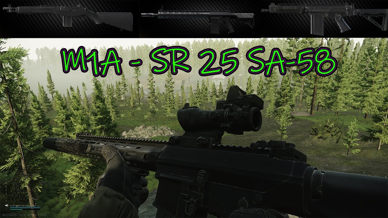 M1A vs SR25 vs SA58 - Escape From Tarkov - YouTube