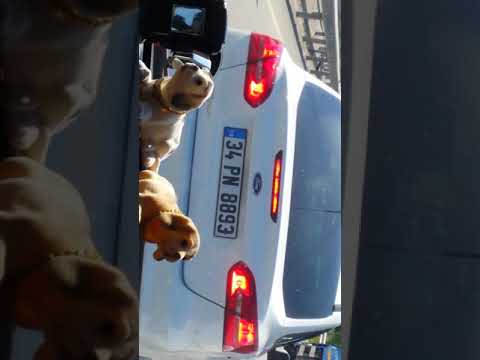 samsun havasi