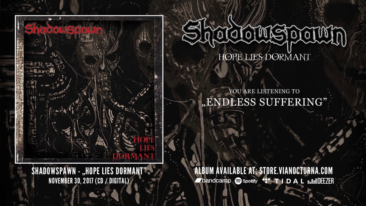 SHADOWSPAWN - Endless Suffering [Official Track] - YouTube