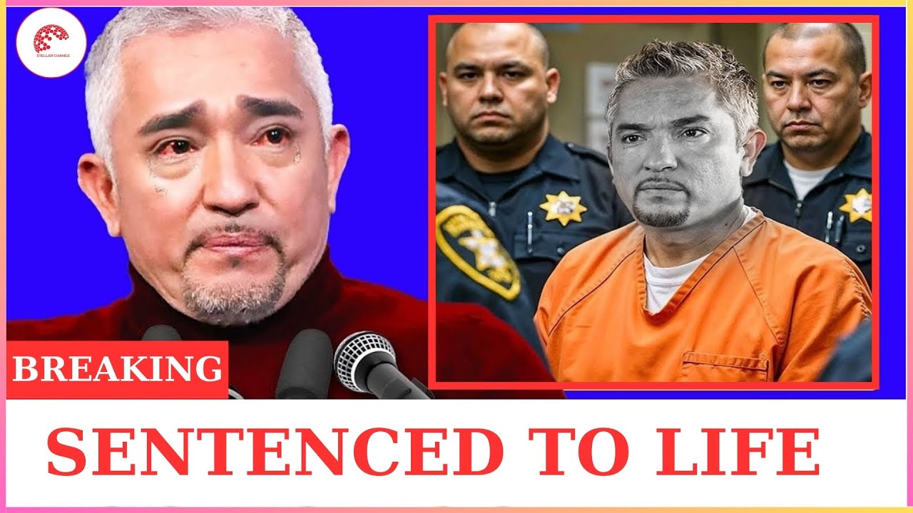 Cesar Milan Breaks In Tears After Sentenced For Life In Prison | Then ...