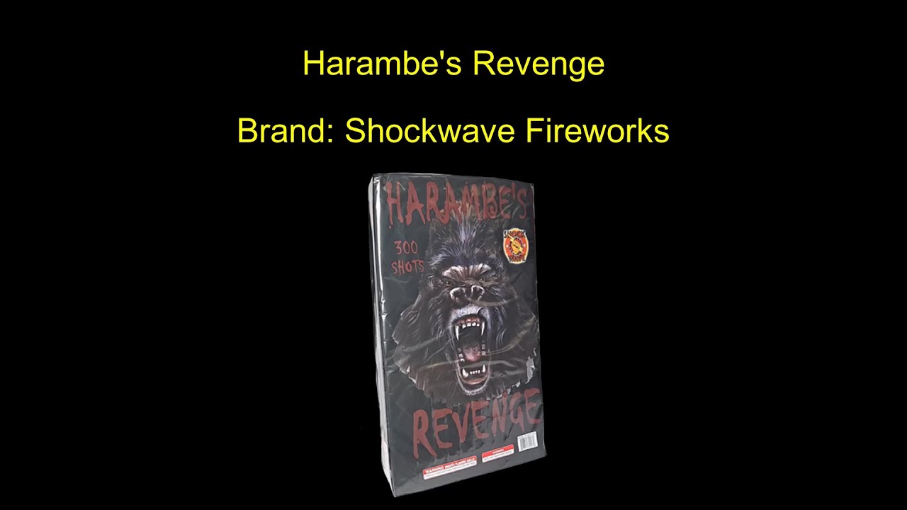 Harambe's Revenge - YouTube