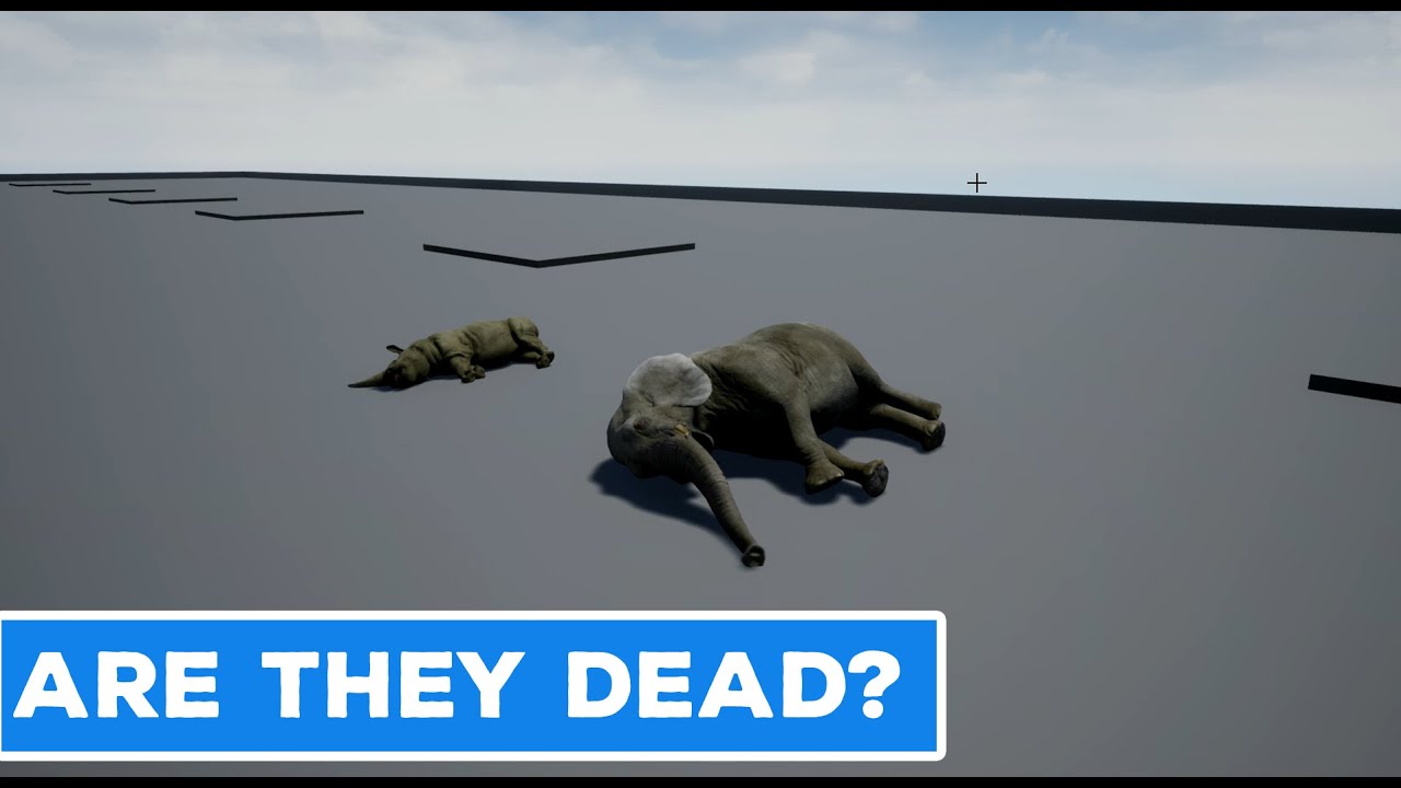 Animal Health system in Unreal Engine - YouTube