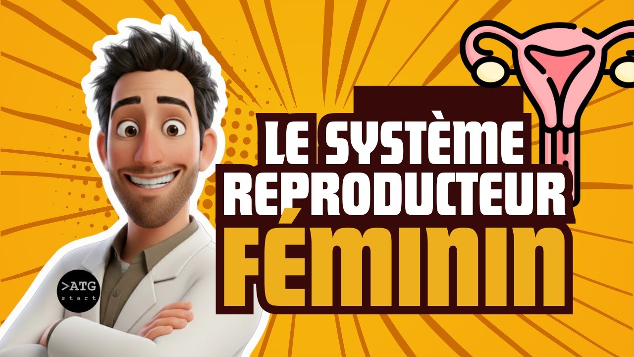 Le système reproducteur féminin 🤰 - YouTube