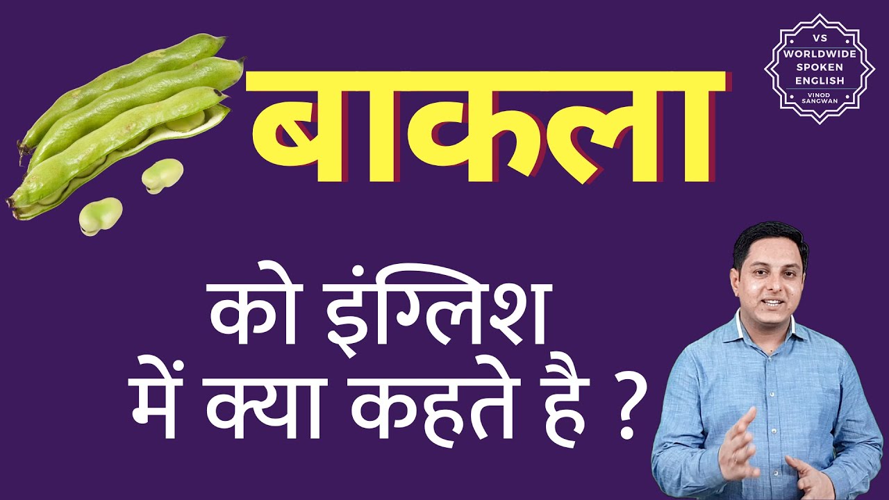 बाकला को इंग्लिश में क्या कहते हैं | bakla ki English | bakla ki ...