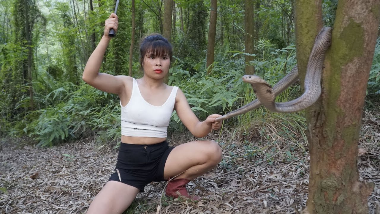 Survive overnight in the forest -Encounter poisonous snake attacks-Catch crabs at night|My Farm ...