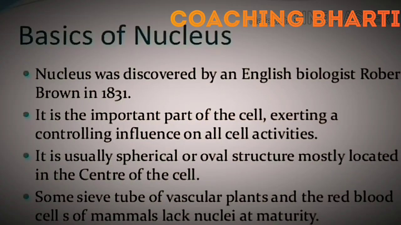 PPT SLIDE SHARE OF NUCLEUS | Coaching BHARTI | Activity Done By Avish ...
